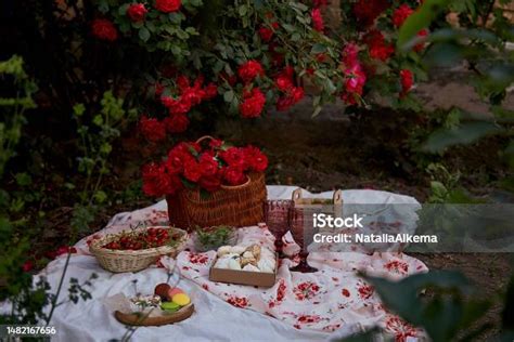 식탁보 마시멜로 마카롱 완두콩 딸기 와인 잔 정원의 분홍색 장미 중 체리가있는 여름 미적 핑크 피크닉 낭만적 인 저녁 식사 장미에 대한 스톡 사진 및 기타 이미지 Istock