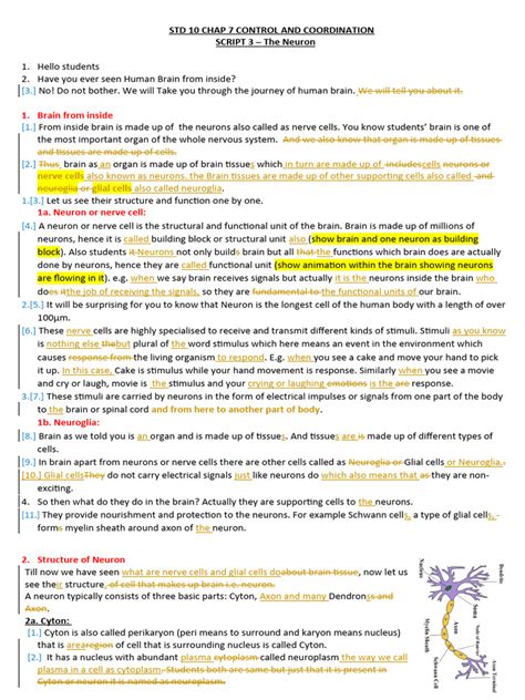 Std 10 Chap 7 Script 3 The Neuron 2704 Pdf Neuron Axon