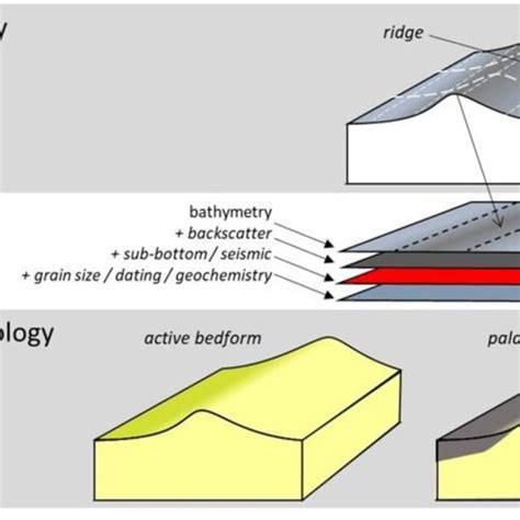 Two Part Classification Dove Et Al 2020 Part 2 Is The Focus Of