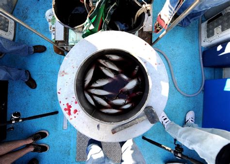 Fake News Alert Yuletide Predators Hit Malls In Search Of Teen Girls