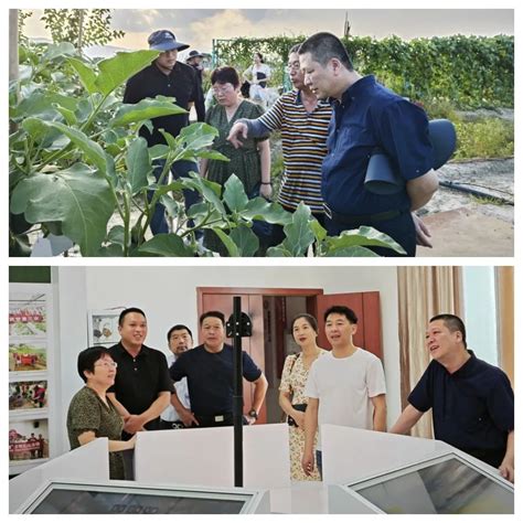 大兴调查研究｜在界别视察中推进资源对接要闻简讯福州市政协委员会