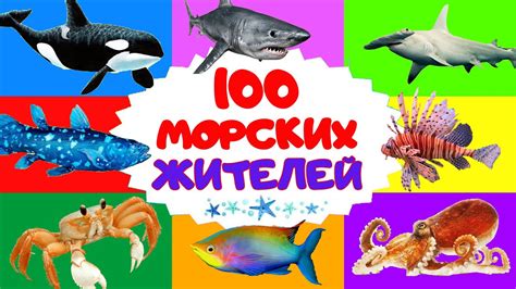 100 морских обитателей и рыб Учим названия жителей моря и океана Логопед для вас Youtube