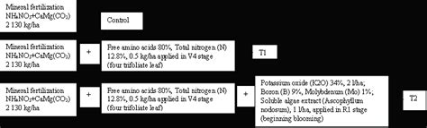 The Levels Of Fertilization Applied On The Soybean Genotypes Download Scientific Diagram