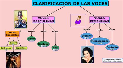 Piccolo Músico Clasificación De Las Voces