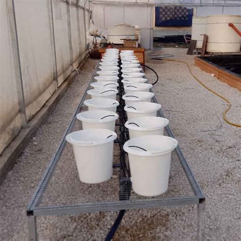 Solar Powered Aquaponics In Hermel Igt