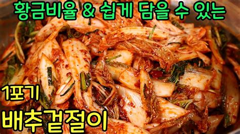 1포기 배추겉절이 맛있게 담그는법 명절김치 한번 담아보세요 Youtube