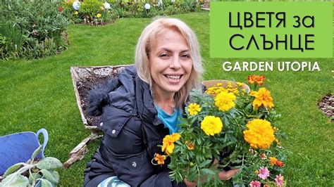 Прекрасни градински ЦВЕТЯ ЗА СЛЪНЦЕ Композиции с цъфтящи растения за слънчеви места Youtube