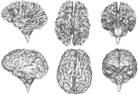Coupled Surfaces Propagation Top Inner Surface And Bottom Outer Download Scientific
