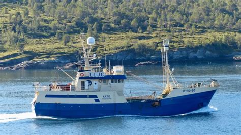 Woods Hole Has Invented A Whale And Dolphin Collision Avoidance System