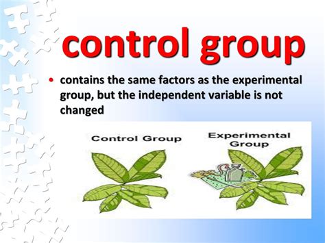 Science Control Group