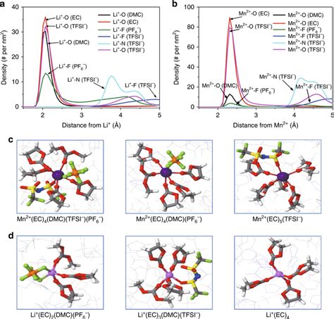 Electrolyte Structures Obtained From Molecular Dynamic Simulation