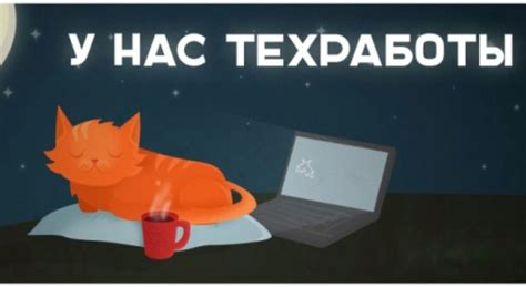 ХэппиКот доставка готовой еды. | ВКонтакте