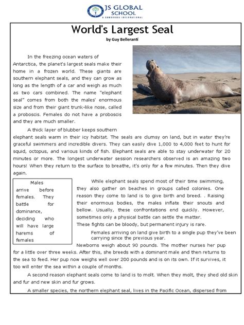 Reading Comprehension G6 Pdf