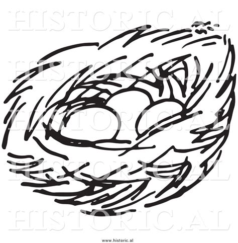 Bird Nest Clip Art Black And White