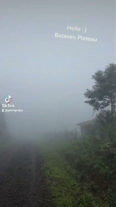 แก๊งมุ่มม่อม ลาวใต้ Youtube