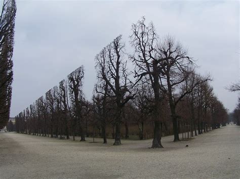 Times There Is A Bug In The Matrix Meme And Chill