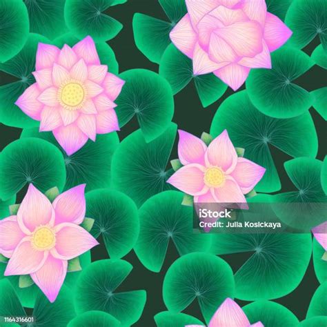 수련 꽃 꽃 꽃 봉오리와 수채화 모방과 잎 그림과 원활한 벡터 패턴 손은 어두운 녹색 배경에 연꽃 요소와 중계기 배경을 그립니다 그리기에 대한 스톡 벡터 아트 및 기타