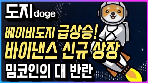 도지 베이비도지 급상승 바이낸스 신규 상장 밈코인의 대 반란 리플코인 리플 코인 Youtube