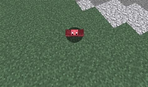 Problem With Z Fighting On Entity Model 1122 Modder Support