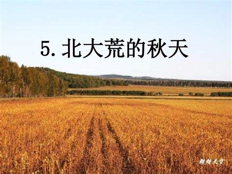 5 北大荒的秋天 word文档在线阅读与下载 免费文档