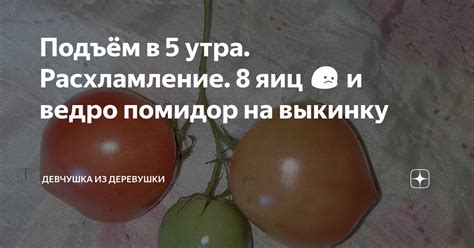 Подъём в 5 утра Расхламление 8 яиц 😞 и ведро помидор на выкинку Девчушка из деревушки Дзен