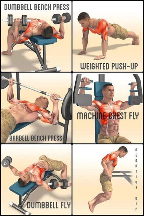 Want To Build Bigger Pecs If You Want Strong Powerful And Defined Pecs That Pop You Want To Do