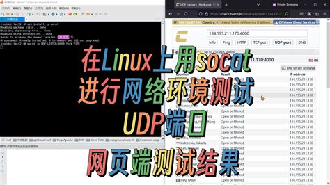 V2rayN 问题求助 开发调优 LINUX DO