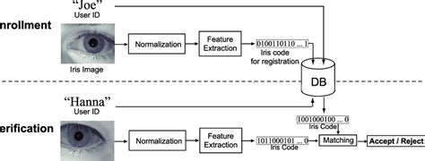 the steps of enrollment and verification in the iris authentication