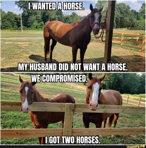 Teeny Tiny Itty Bitty Horse “dump” I Wanted A Horse My Husband