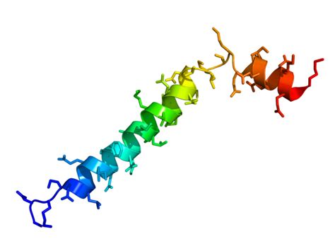 What Is Thymosin？ Giant Lab