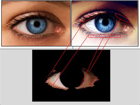 Sample 2 Image Analysis Based On Initial Selection Of Labels Download