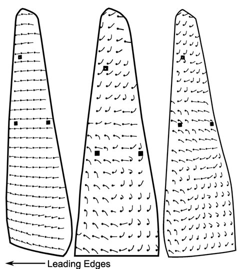 Flow Tufts Visualisation On The Suction Blade Surface At 6 • 30 • And Download Scientific