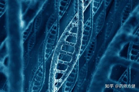 一斗穷二斗富真的有科学道理吗中国院士发现斗与簸箕的奥秘 知乎