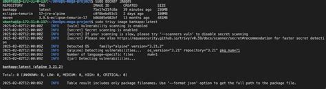 Devsecops Docker Springboot Security Cloud Opensource Anirban