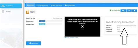 live streaming rtmp server hosting