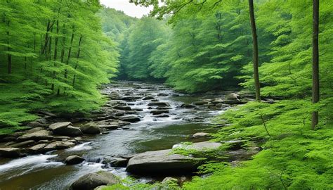7 State Parks Near Williamsport Pa Discovering Nature In Pennsylvania