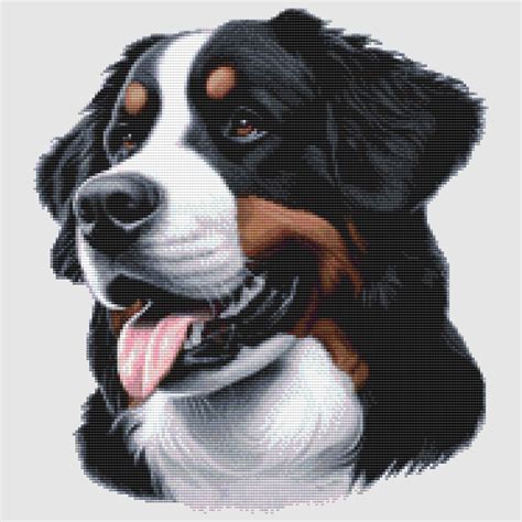 Bernese Mountain Dog Cross Stitch Pattern Portrait