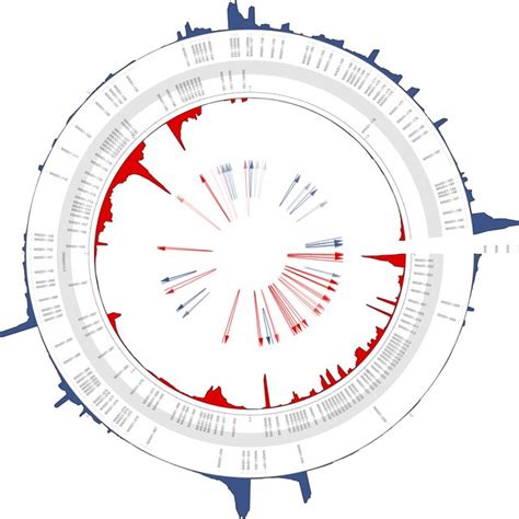 Coverage Of The Viral Genome In The Drna Sequencing Library The Mean