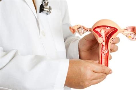 Mujeres sin matriz pueden tener hijos SERMA México