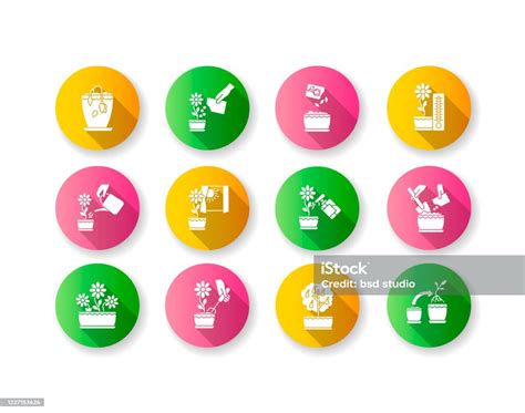 하우스 플랜트 케어 플랫 디자인 롱 섀도우 글리프 아이콘 세트 국내 식물 재배 재포팅 식물 분무 꽃 씨앗을 심기 급수 비옥 실루엣 Rgb 컬러 일러스트 0명에 대한 스톡