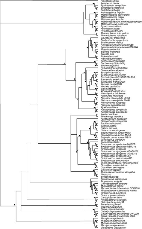 Strict Consensus Tree Of 6 Mp Trees Constructed Under The 6080