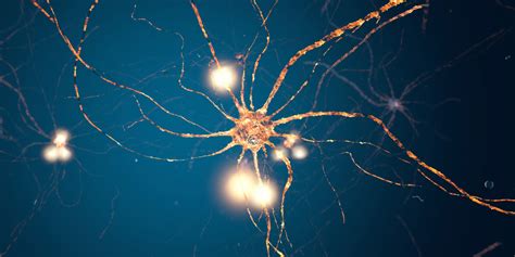 Does Vagus Nerve Stimulation Work Heres The Science