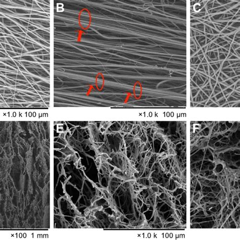 Pdf A Novel Electrospun Aligned Nanoyarnthree Dimensional Porous
