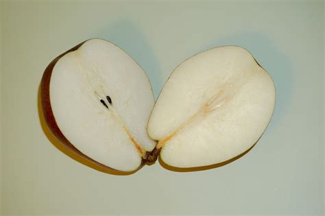 Fotografia De Raju Reddy Blogueiro Foto Gratuita No Pixabay Pixabay