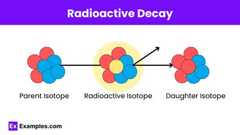Radioactive Decay Law Examples Derivation Uses Faqs
