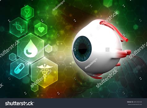 3d Rendering Human Eye Dissection Anatomy Stock Illustration 481255729