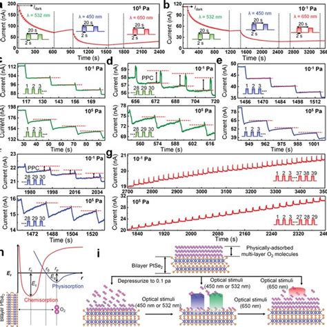 Chromatic Adaptation Of The Retina And The Retinomorphic Device A The Download Scientific