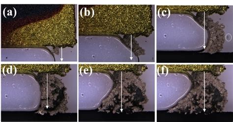Af Evolution Of Gas Bubble And Dendrite Morphology During Charging