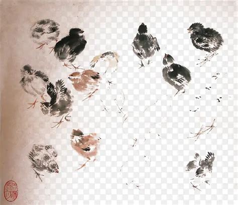 画鸟步骤png图片素材下载图片编号9231741 Png素材网