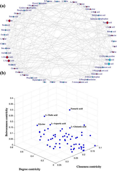 Visualization And Analysis Of The Metabolic Correlation Network Based Download Scientific